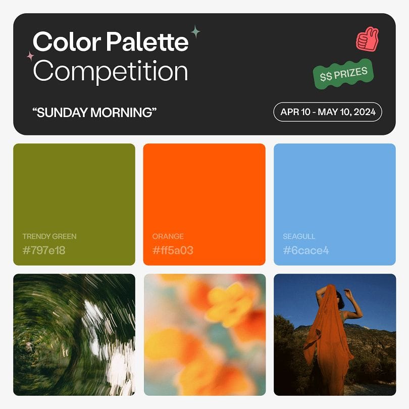 2024 color palette competition official rules